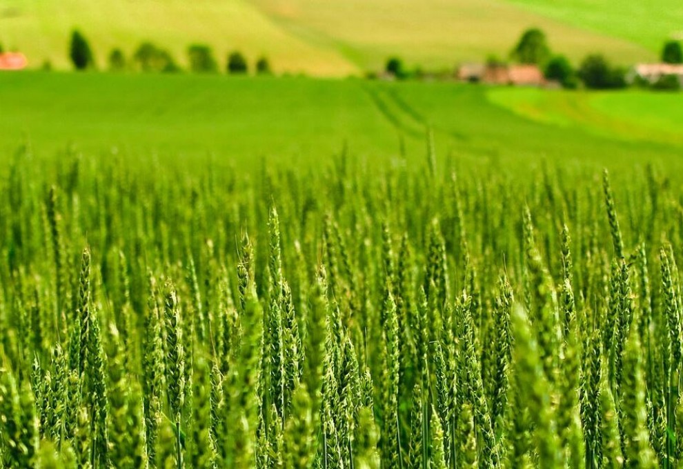 Perstorp opens India Penta plant | Speciality Chemicals Magazine