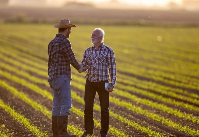 CC Industries acquires Foremark | Speciality Chemicals Magazine